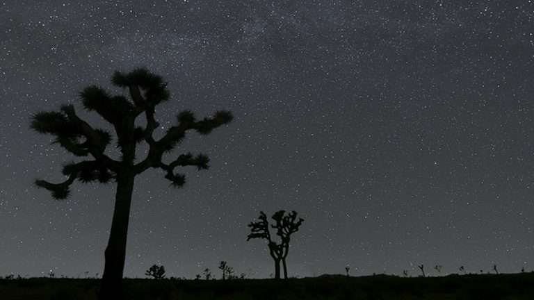 Best Time To Go To Joshua Tree For Stargazing: 23 Tips