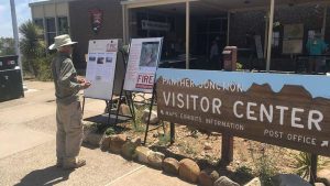 Best Time To Visit Big Bend For Stargazing (2025 Easy Guide)