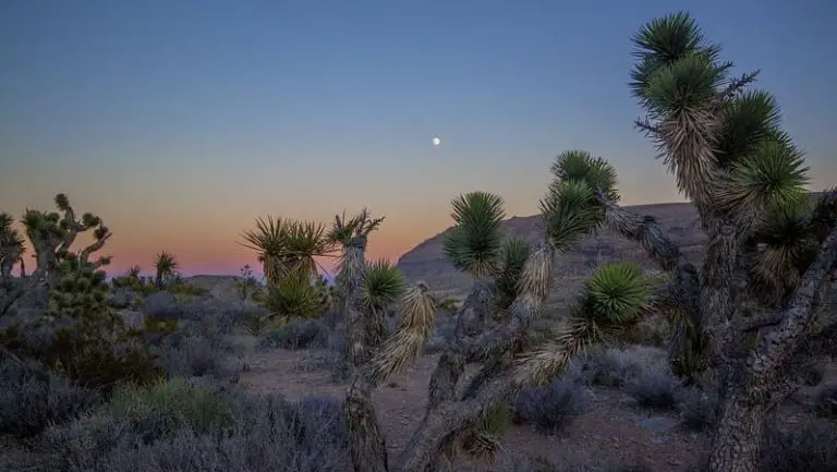 Red Rock Canyon Stargazing: Easy Expert Guide (2025)